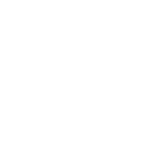 BugNet Evolution-Protocol - BugNet